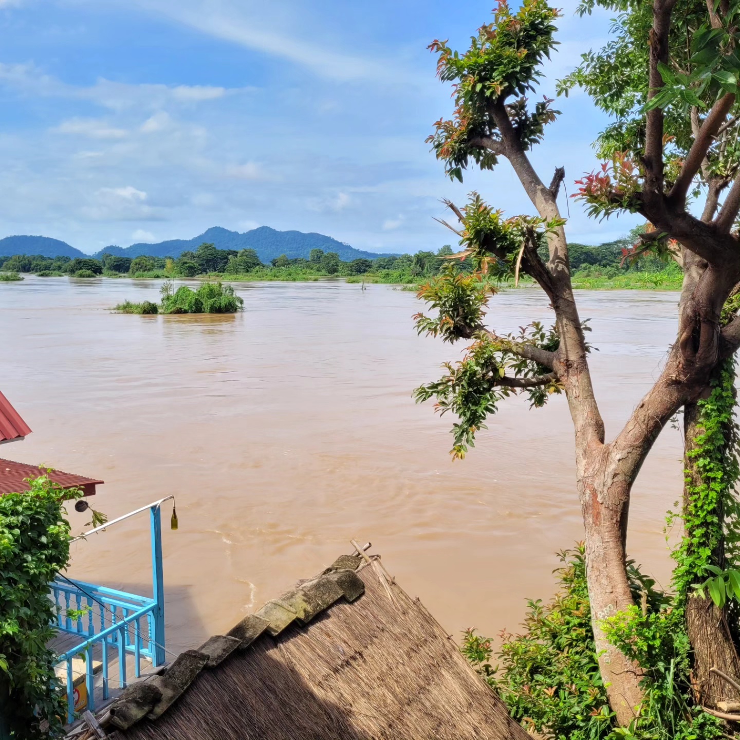 Don Det, Doldrums and Duende – Adrian's Got The Moose